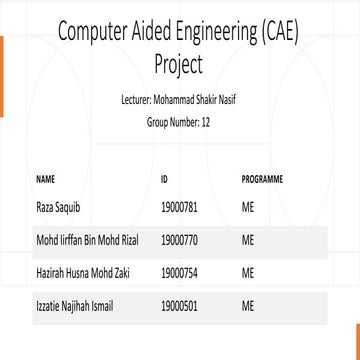CAE Project Group 12.pptx
