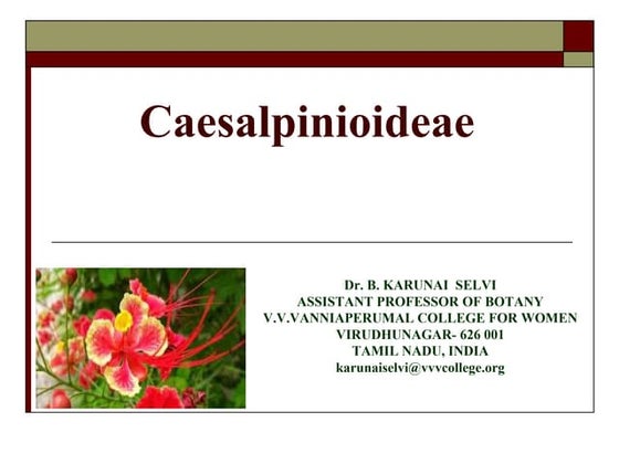 1 5 taxonomy -caesalpiniaceae | PPT