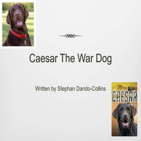 Caesar the war dog | PPTX