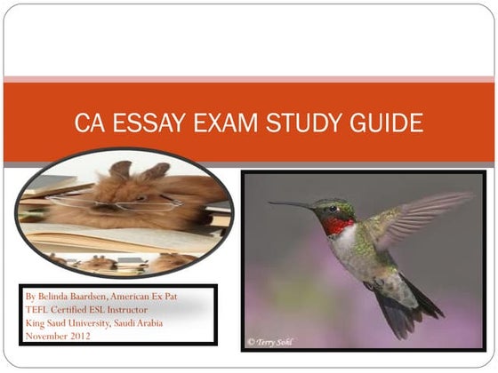 O level English 04. Speech Writing. Code. 104. pptx | PPT