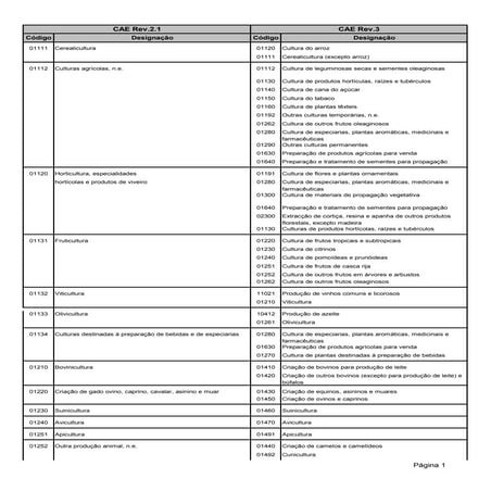 Cae tabela conversao | PDF