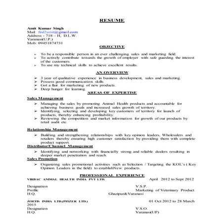 Amit cv new (1) | DOCX | Sales | Business