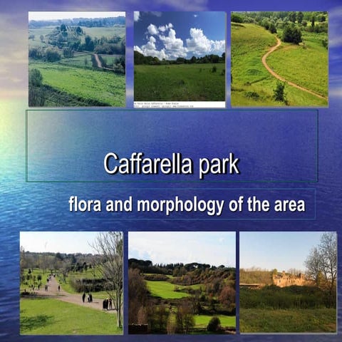 Caffarella flora and fauna | PDF