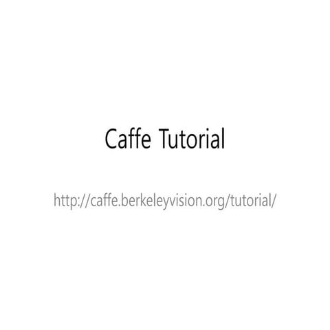 Caffe Framework Tutorial Ppt