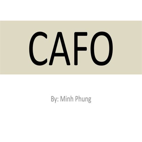 Cafo2 | PPTX