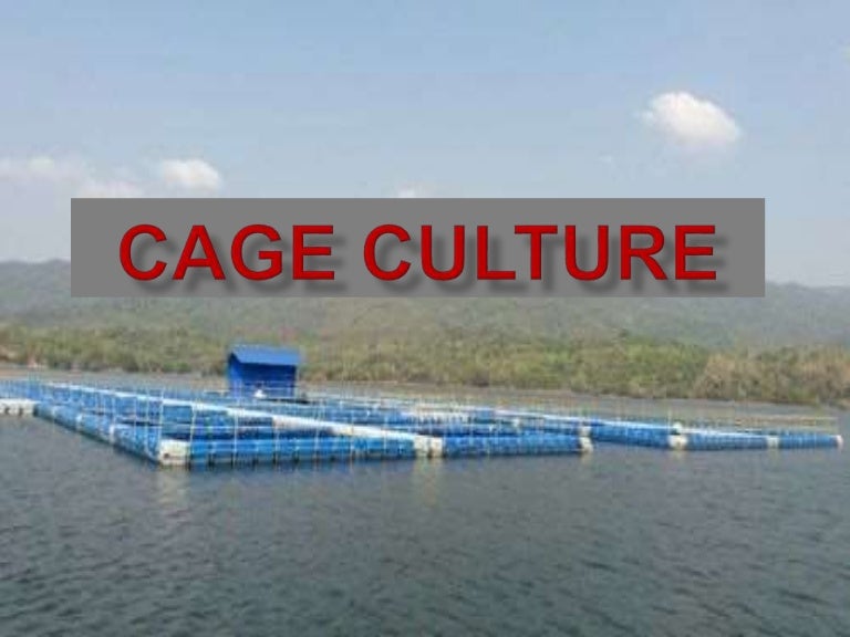 Cage culture