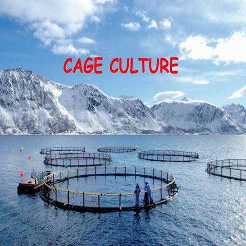 Cage fish farming and the basic principals.pptx