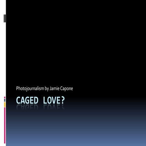 Caged Love | PPTX