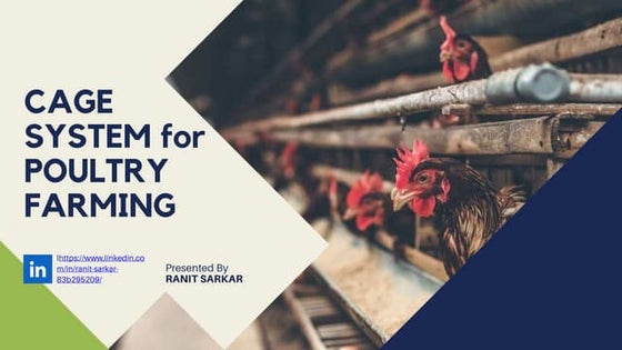 Ventilation System in Poultry Farming | PPT