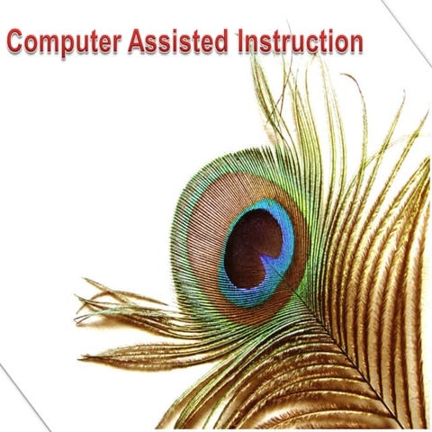 Computer Assisted Instruction | PPT