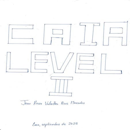 CAIA Level 2 Notes and exercises - Full guide for success | PDF
