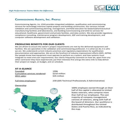 CAI Firm Overview | DOC