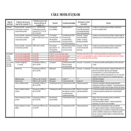 Caile motilitatilor | DOC