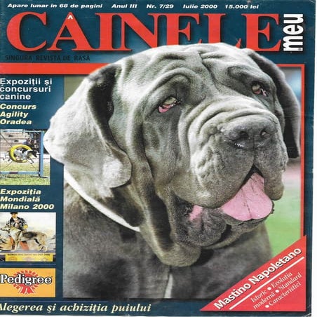 Cainele meu 29 | PDF