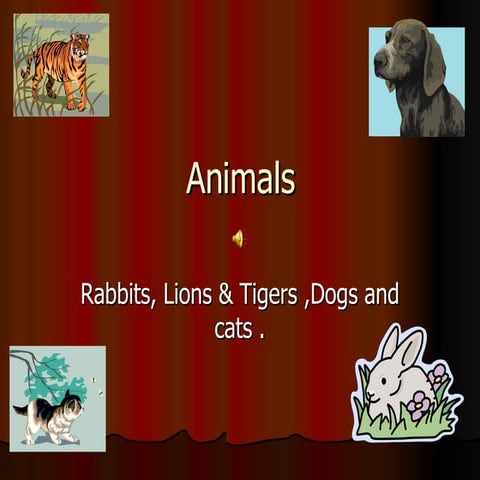 Caitlin Animal Presentation | PPT