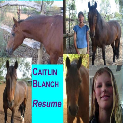 Caitlin blanch resume | PPT