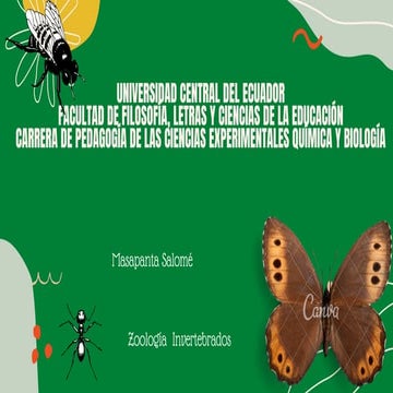 Caja entomológica | PDF