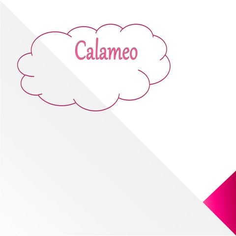 Samy Cv presentations