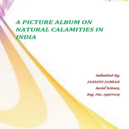 Calamities | PDF