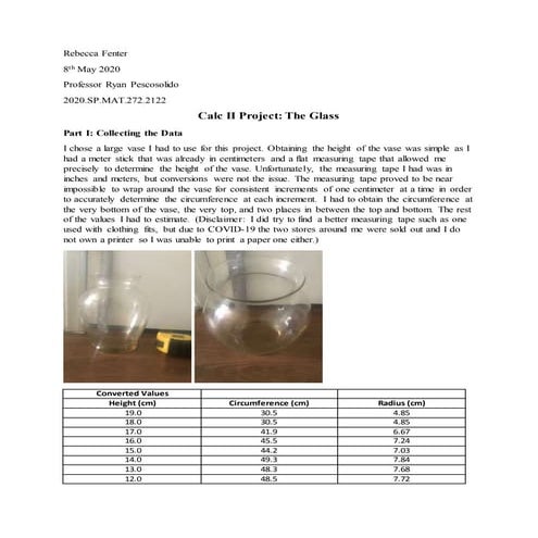 Calculus II Project - The Glass | DOCX