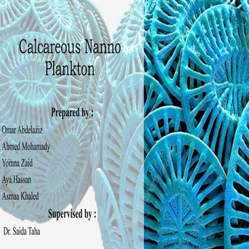 Calcareous_Nanno_Plankton[1].pptx