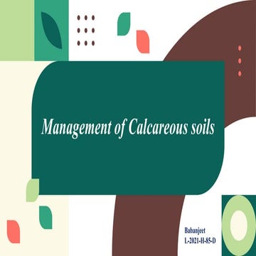 Calcareous soils and its management.pptx
