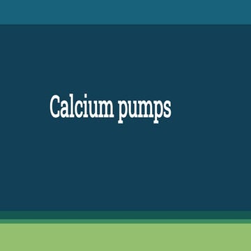 Calcium-pump.pdf