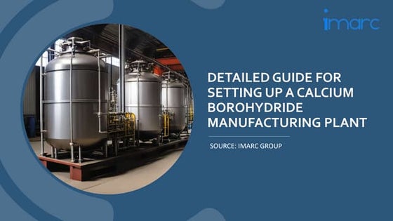 Calcium Bromide Manufacturing Unit Project Report 2024 | PDF