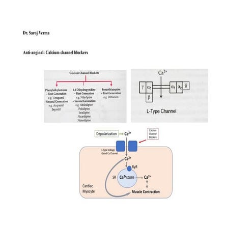 Calcium channel blockers - Medicinal chemistry for B.Pharm. | PPTX