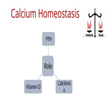 Calcium Homeostasis.pptx, mechanism of action | PPTX