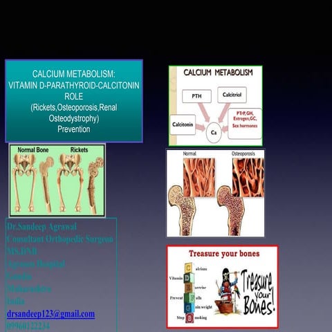 Calcium homeostasis vitamin d-parathyroid-calcitonin role (rickets ...