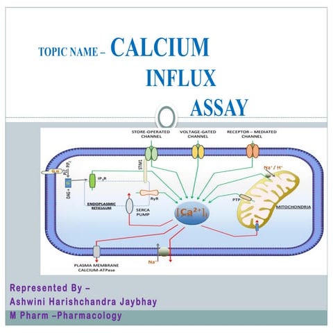 calcium influx assay ppt calcium movments in the cell and viability of ...