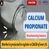 Calcium Propionate Manufacturing Industry. Production of Calcium Propanoate | PPT