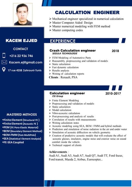 CV.hamdi.english. new.compressed | PDF