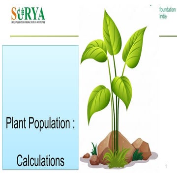 Calculation of Plant population.pptx. . | PPT