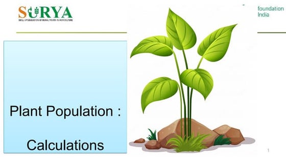 Seed rate calculation | PPT