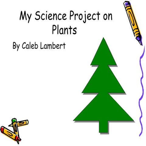 Caleb Lambert | PPT
