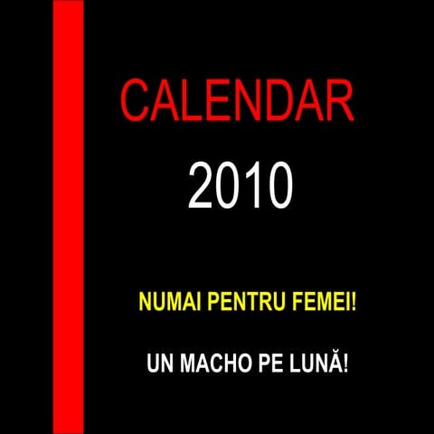 Calendar Pentru Femei 2010 | PPS