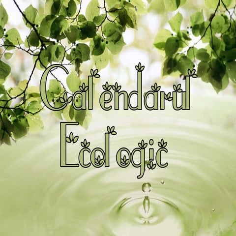 Calendarul Ecologic | PPT