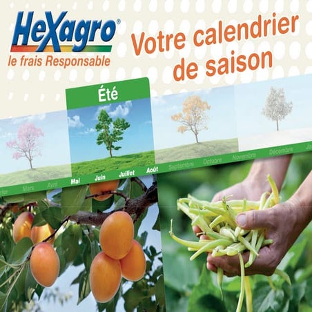 Calendrier de saisons par Hexagro : Été | PDF
