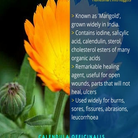 Skin Care tips with Calendula Officinalis - Wonder Herb | PPT