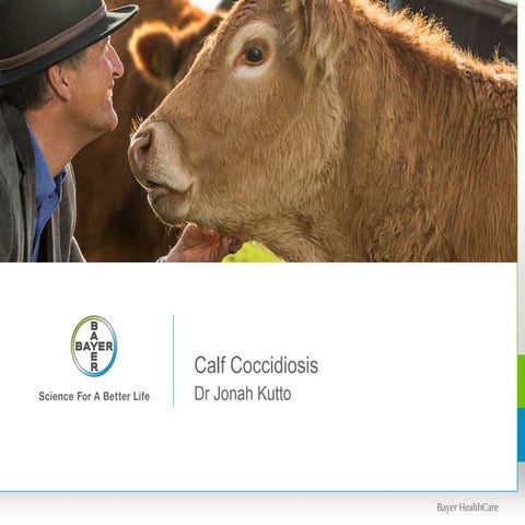Calf Coccidiosis | PPTX