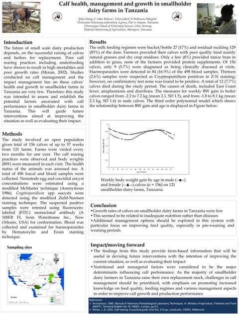 calf growth pattern | PDF