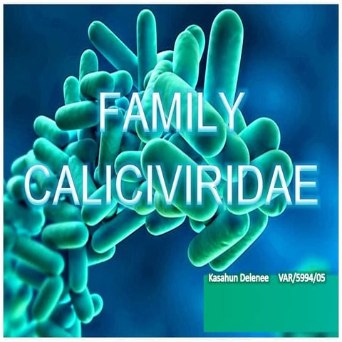 Caliciviridae for veterinary students | PPTX