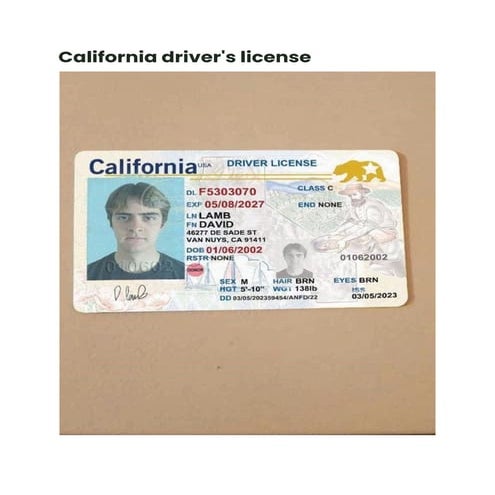California driver's license and how to obtain it.pdf