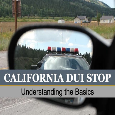 California DUI Stop: Understanding the Basics | PPTX