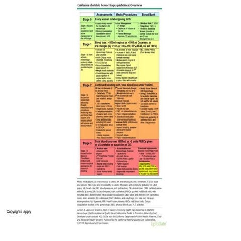 California obstetric hemorrhage_guidelines__overview | DOC