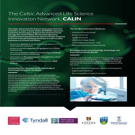 Calin brochure | PDF