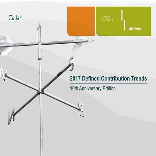 Callan DC Survey Key Findings 2017 | PDF