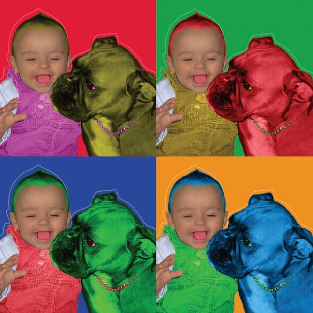 Opie Pop Art Pet Portrait | PDF